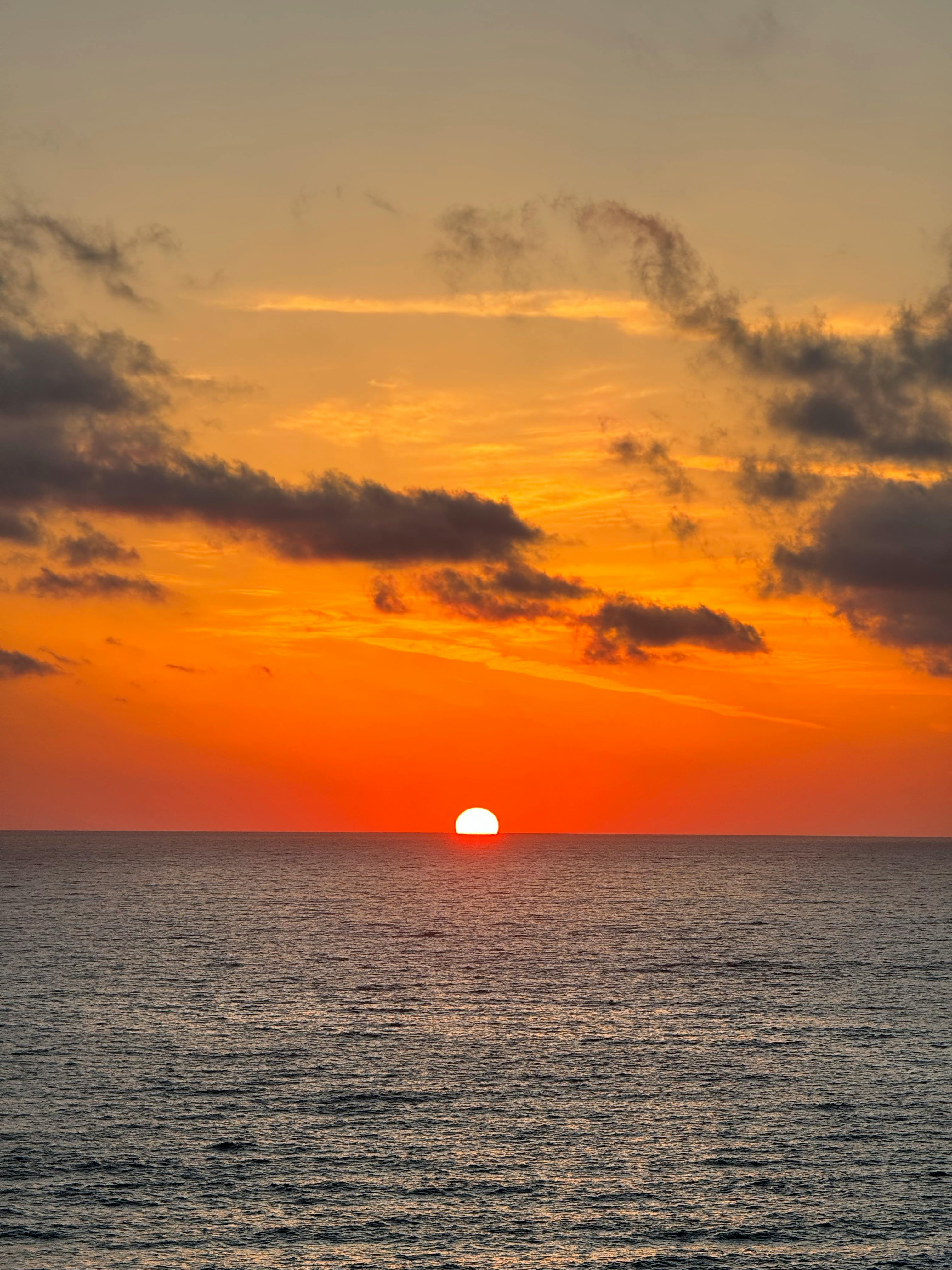 ROOTS + RISE – Sola Medicine Studio